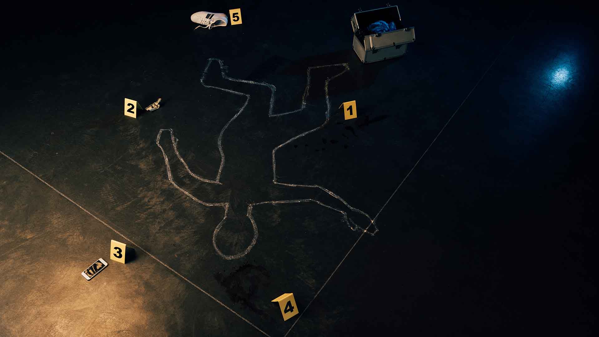 Murder - Charges, Penalties, Sentencing and Defences (NSW)