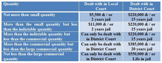 Manufacturing drugs penalties and sentences